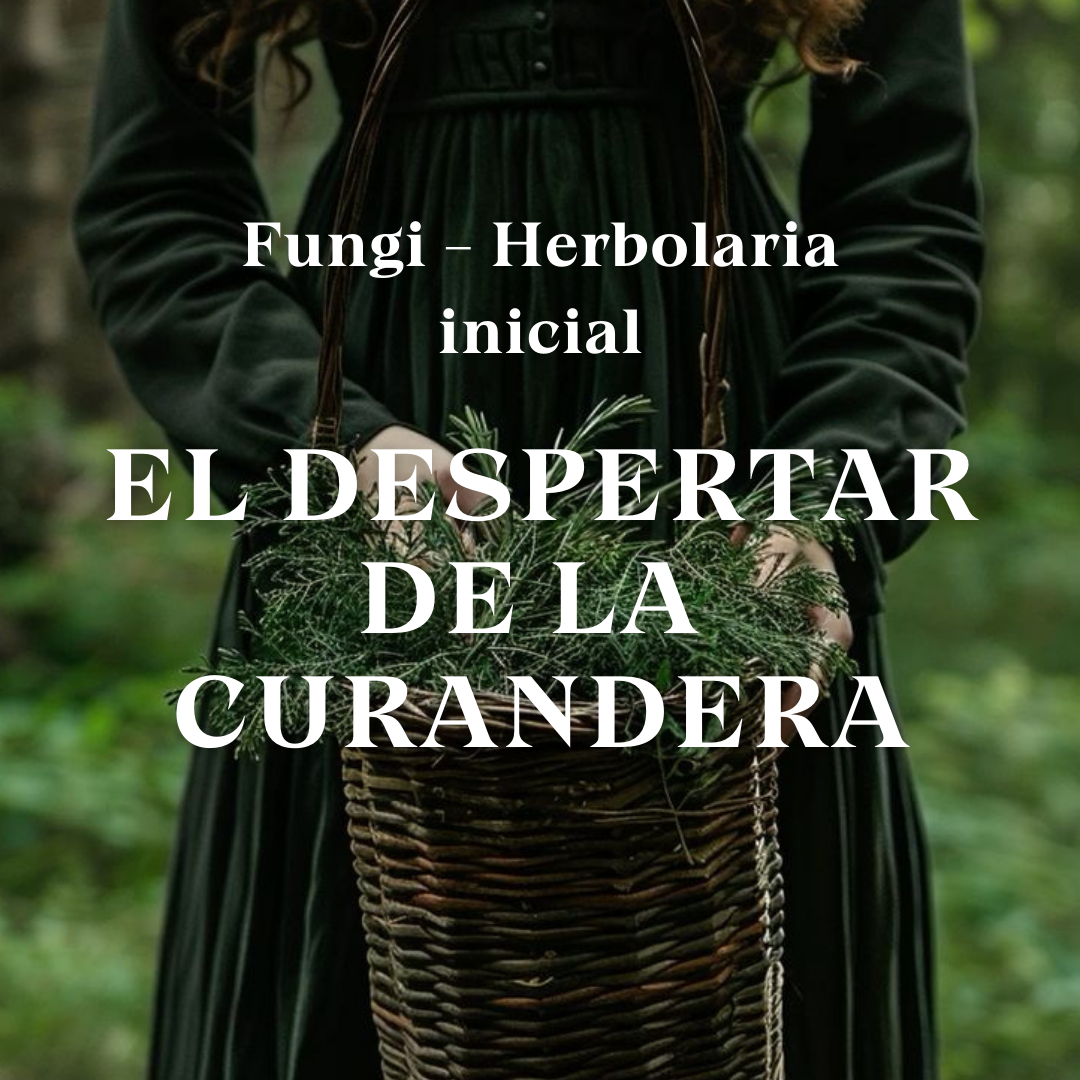 🔥LLévate 3 cursos Herbales con un 45 % de Descuento 🔥 – LA ENFERMERA ...